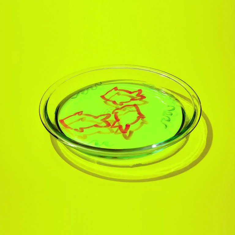 8 Science Experiments Parents Can Enjoy with Their Kids - NASCANS