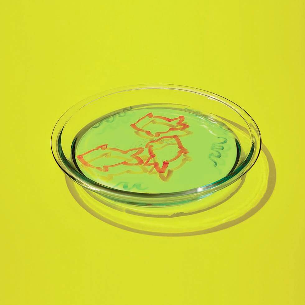 8 Science Experiments Parents Can Enjoy with Their Kids - NASCANS