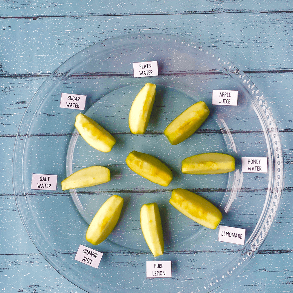 8 Science Experiments Parents Can Enjoy with Their Kids - NASCANS