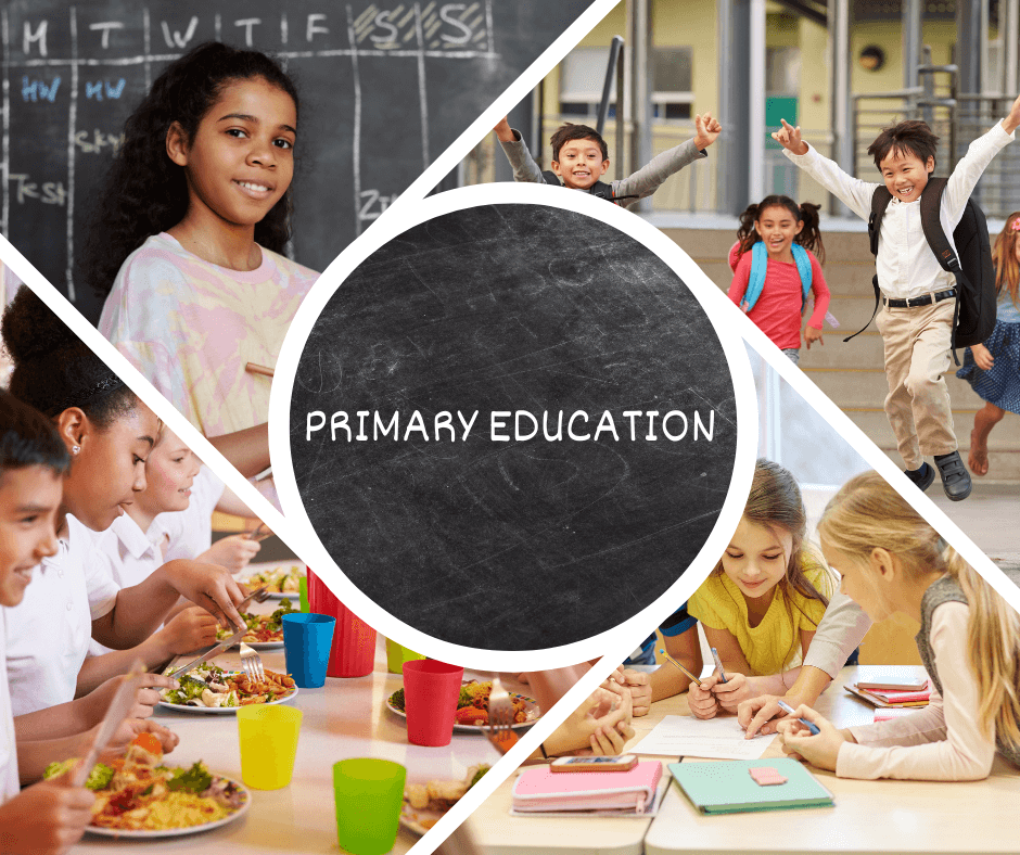 Significance of Primary School Education in Your Child's Development