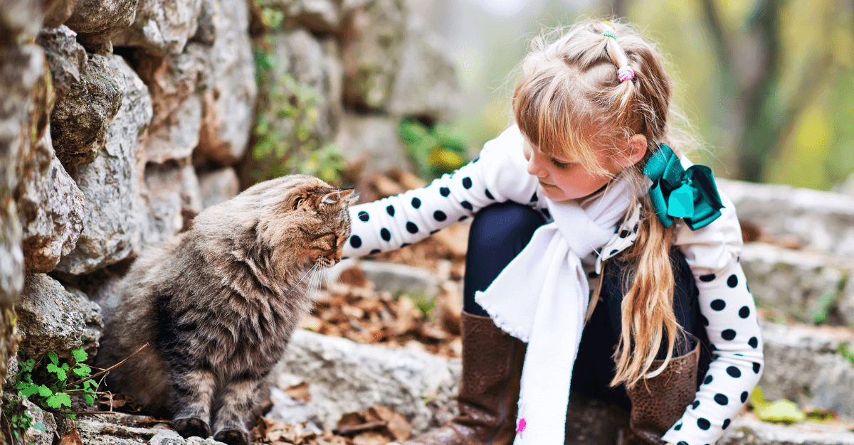 Exploring the Wonders of Nature: Early Childhood Development Through ...